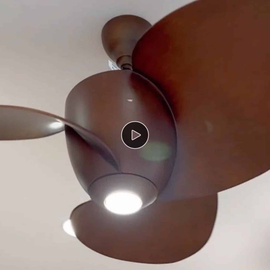 10 Things About Fanzart Luxury Designer Fans 10 Things you Probably ...